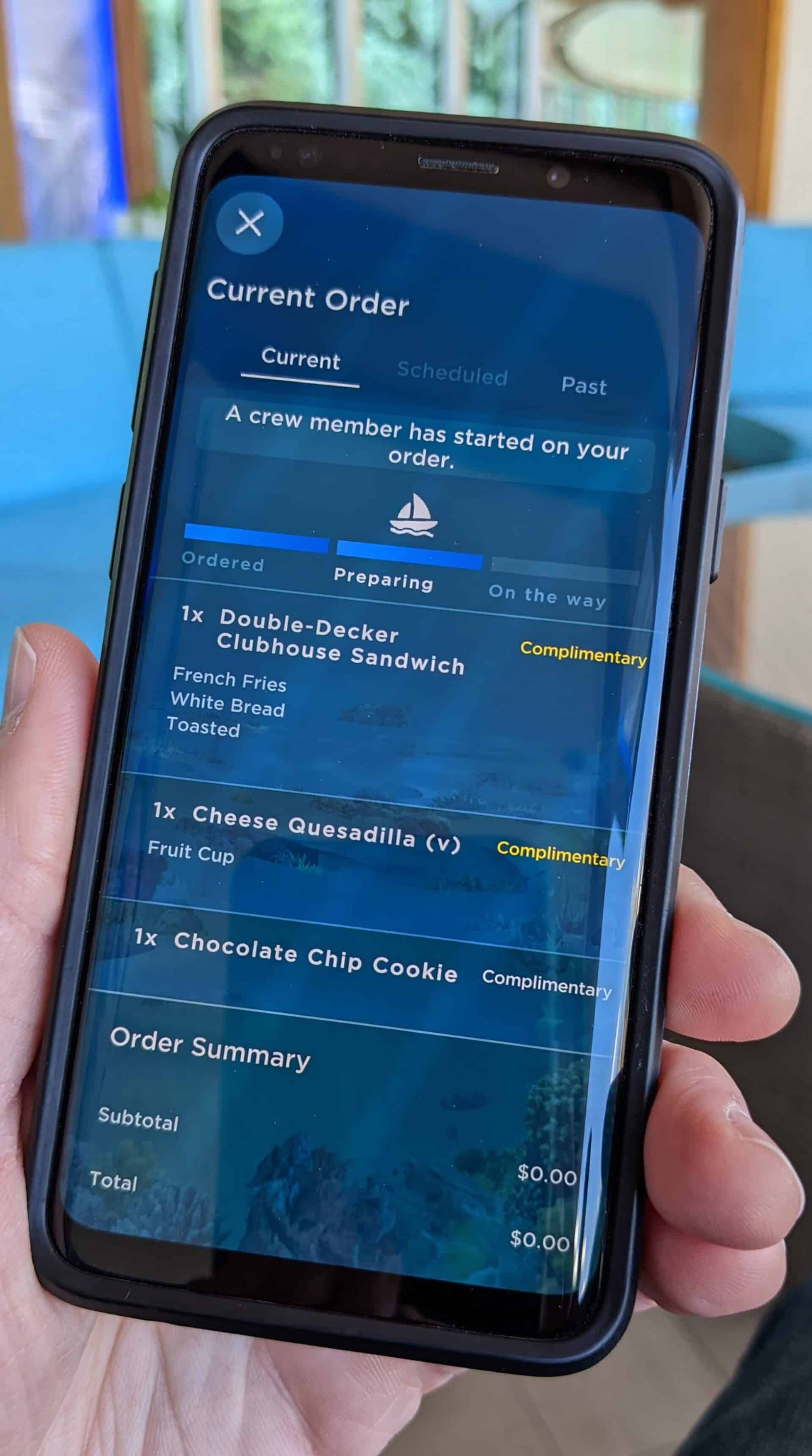 Everything You Need To Know About Princess’ MedallionClass Experience
